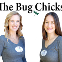 The Bug Chicks | Indiegogo