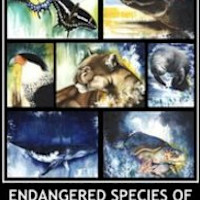 Endangered Florida Species Art Exhibition | Indiegogo
