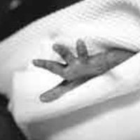 Guinea Pig Kids Video Featuring Rapper Topic | Indiegogo