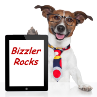 Bizzler.com | Indiegogo