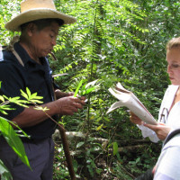 History of Bush Medicine in Belize | Indiegogo