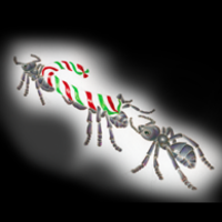 The Ant Connection: Connect Me to France through Ants | Indiegogo