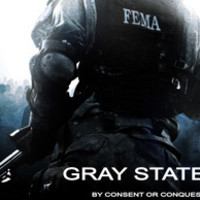 Gray State | Indiegogo