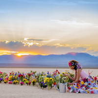 Enchanted Photography: Calendars & More | Indiegogo