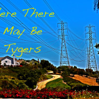 Here There May Be Tygers | Indiegogo