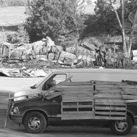 Jawless Dog - Short film | Indiegogo