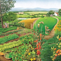 Sustainable Farm School Project | Indiegogo