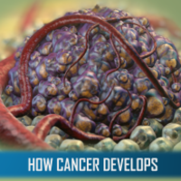 How cancer develops: detailed animation | Indiegogo