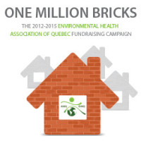 ONE MILLION BRICKS | Indiegogo