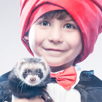 The Magic Ferret | Indiegogo