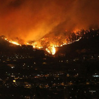 Madeira, Portugal Wildfires Relief Fund | Indiegogo