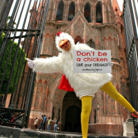 Super Chicken | Indiegogo