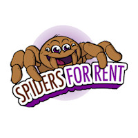 Spiders For Rent | Indiegogo