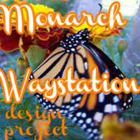 Monarch Butterfly Waystation Design Project | Indiegogo