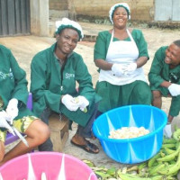 Support a New Nigeria: The Springboard Farms | Indiegogo