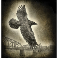 Raven's Wing Sequel to award-winning urban fantasy | Indiegogo