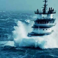 THE BLUE CAGE | Indiegogo