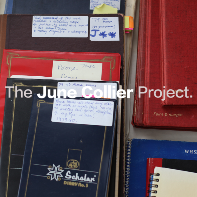 The June Collier Project - Phase 1 | Indiegogo