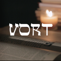 VORT | Indiegogo