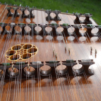 Healing the World With Crystal Musical Instruments | Indiegogo