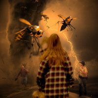 Tsunambee: The Wrath Cometh - feature film | Indiegogo