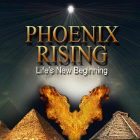 PHOENIX RISING: LIFE'S NEW BEGINNING - BOOK | Indiegogo