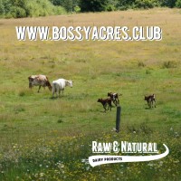 Bossy Acres Raw Milk Pasture Based Dairy Farm | Indiegogo