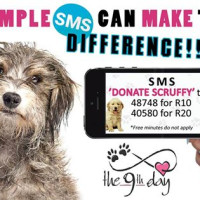 Help The 9th Day Animal Rescue Finish Our Kennels | Indiegogo