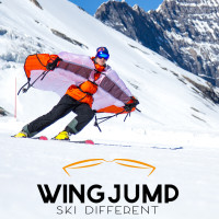 Wingjump, the World's First wings for skiing | Indiegogo