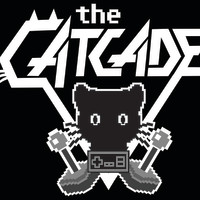 The Catcade - Cat rescue and lounge | Indiegogo