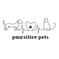 Pawsitive Pets- Anderson County Animal Rescue | Indiegogo