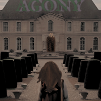Short Film Agony | Indiegogo
