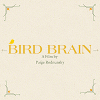 Bird Brain | Indiegogo
