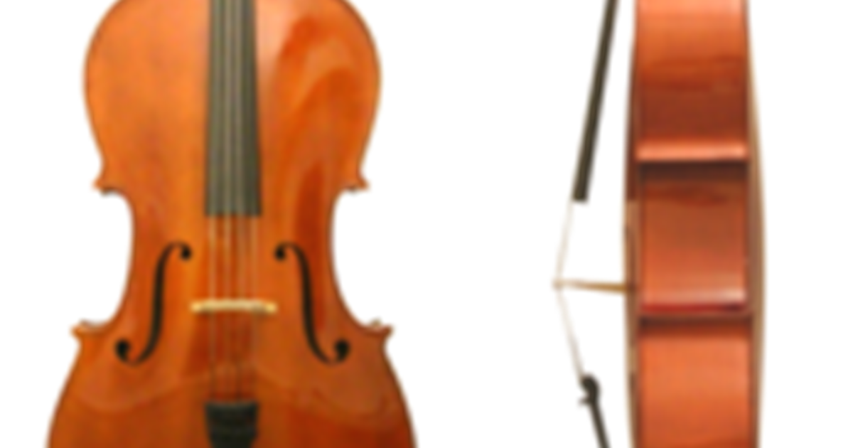 Eagle project to raise $1600 for cellos. | Indiegogo
