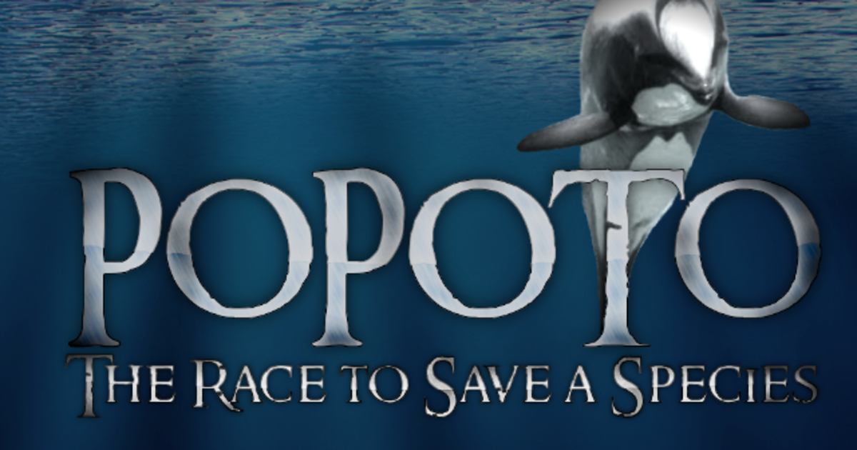 Popoto: The Race to Save a Species | Indiegogo