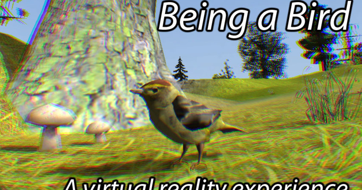 Being a Bird - a virtual reality experience | Indiegogo Being a Bird - a virtual reality experience | Indiegogo