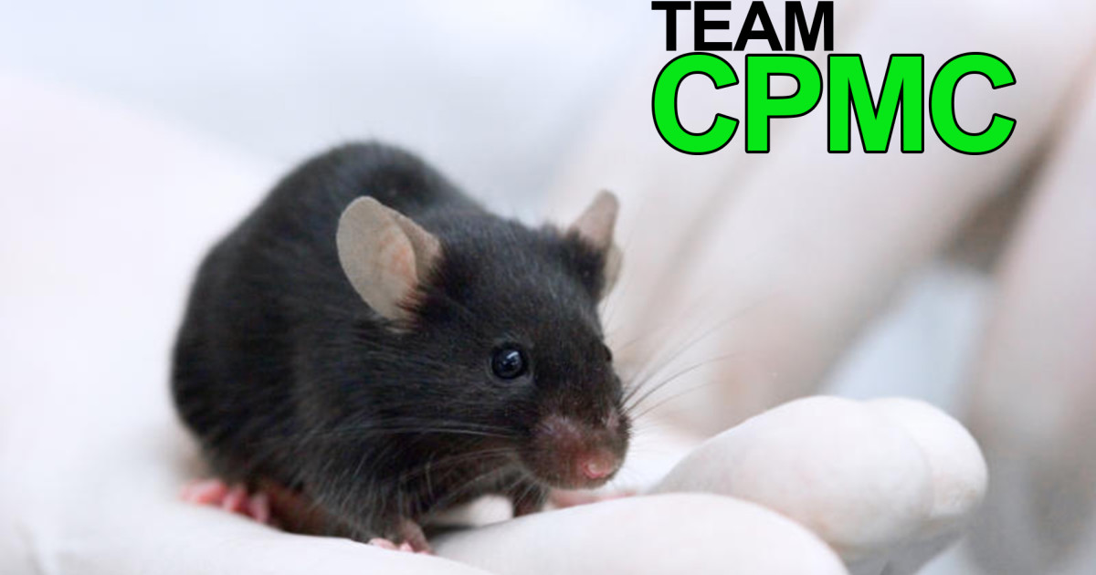 Extending Healthy Lifespan in Mice | Indiegogo