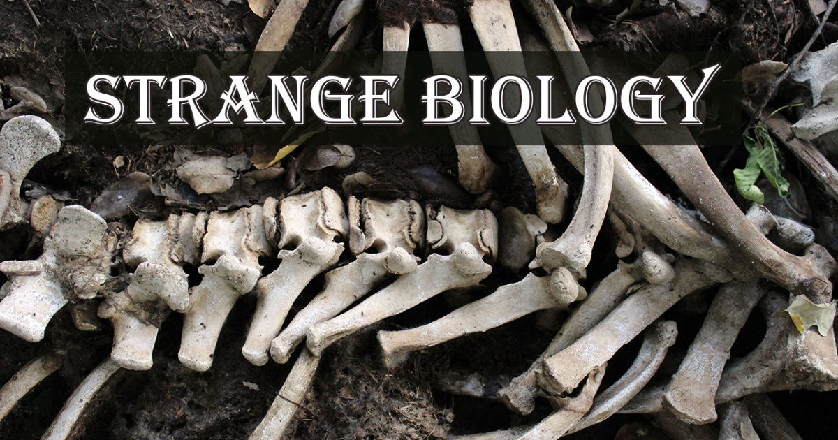 Strange Biology | Indiegogo