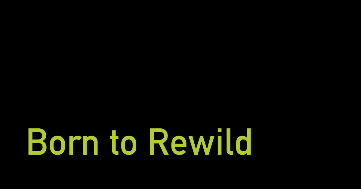 Born to Rewild | Indiegogo