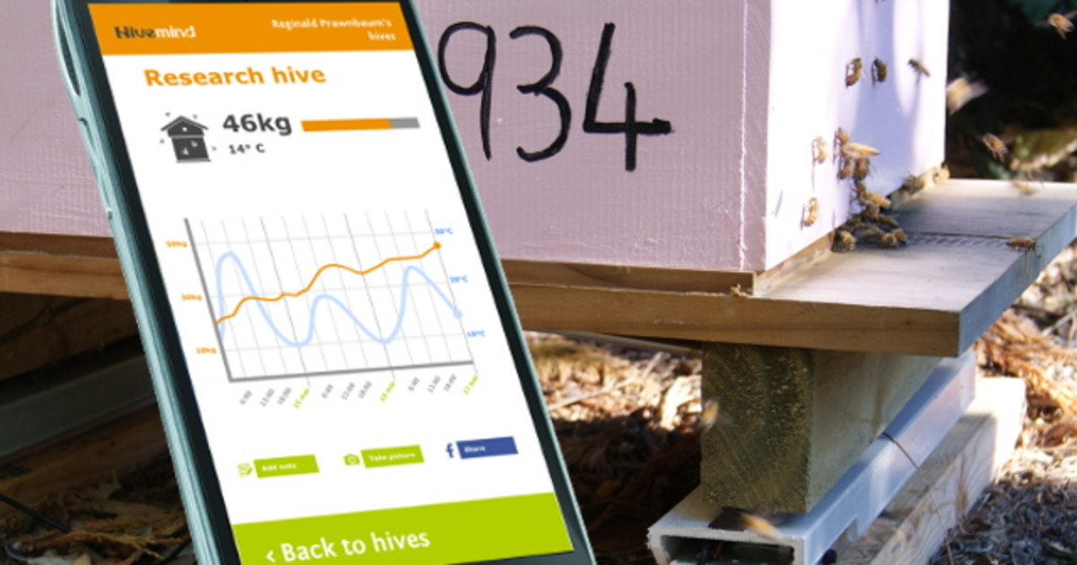 WiFi Bees: Hive Scale and Smartphone App | Indiegogo