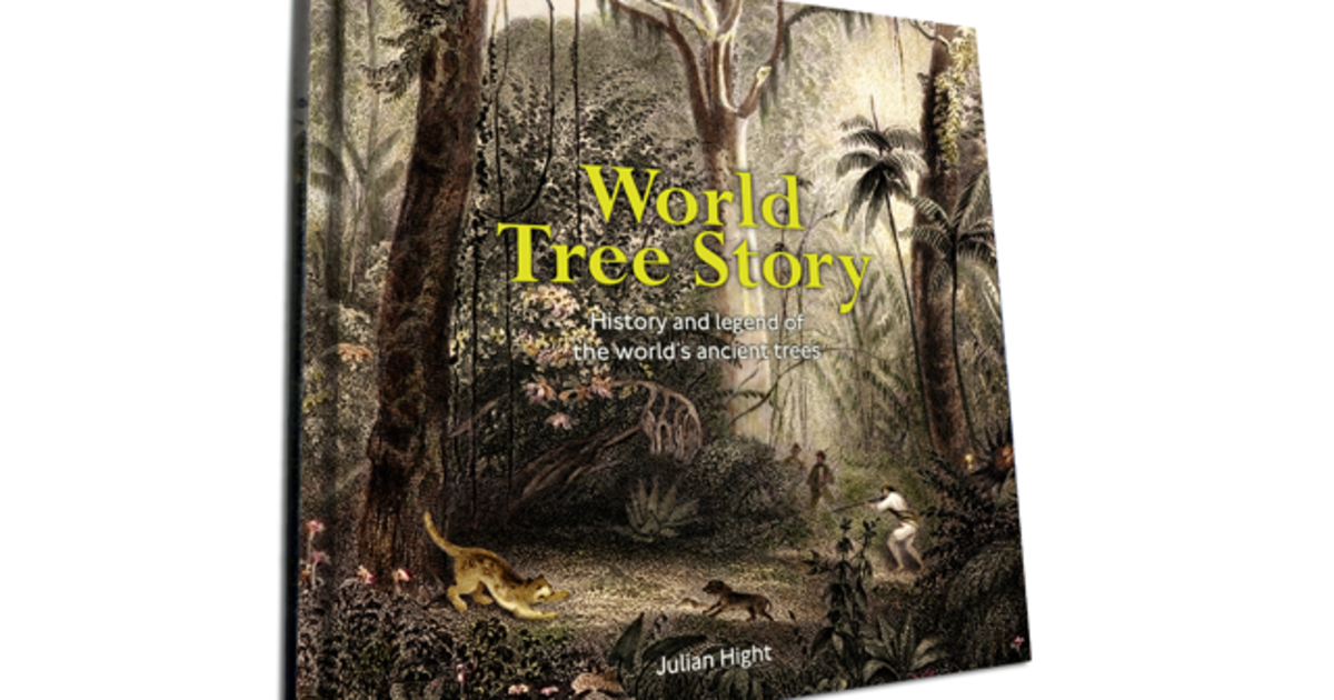 World Tree Story | Indiegogo