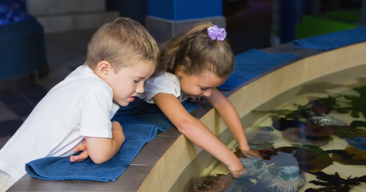 Aquaria and Touch Tanks for Ocean Education | Indiegogo