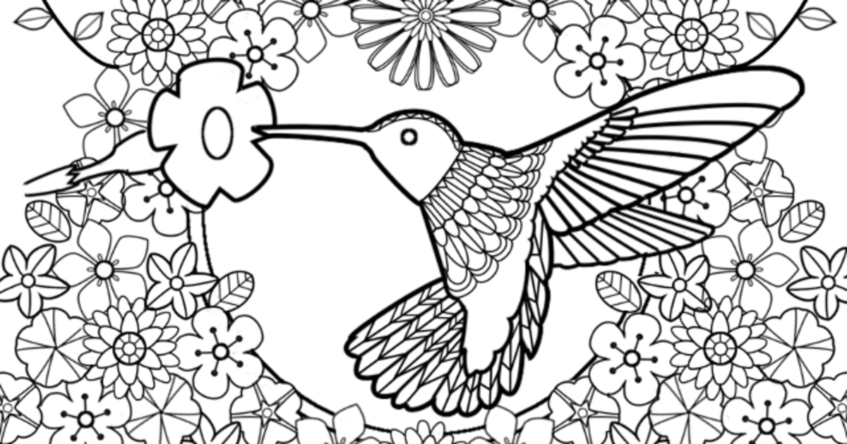 Where the Pretty Things Are Coloring Book | Indiegogo