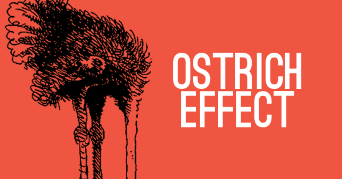Ostrich Effect - A Book on Entrepreneurship | Indiegogo