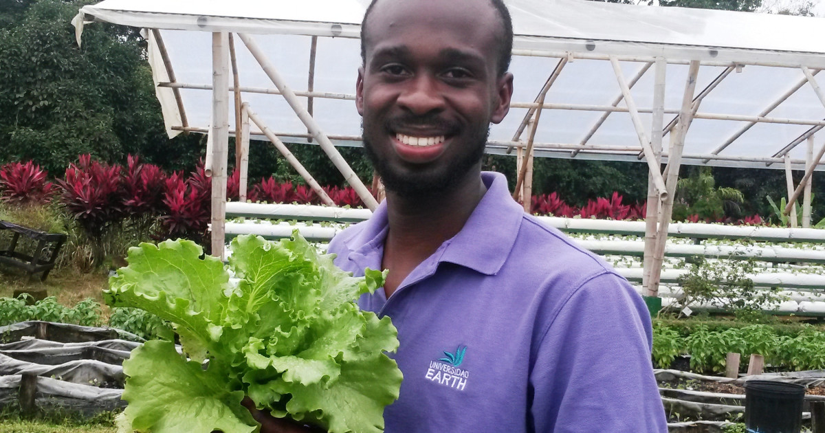 HydroFarmz Jamaica - Rural Hydroponics Production | Indiegogo