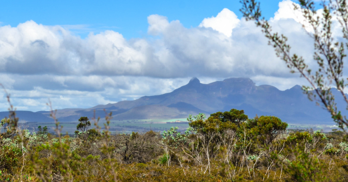 Borden Nature Park Conservation Project | Indiegogo