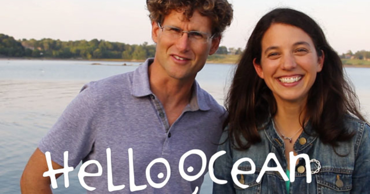 Hello Ocean | Indiegogo