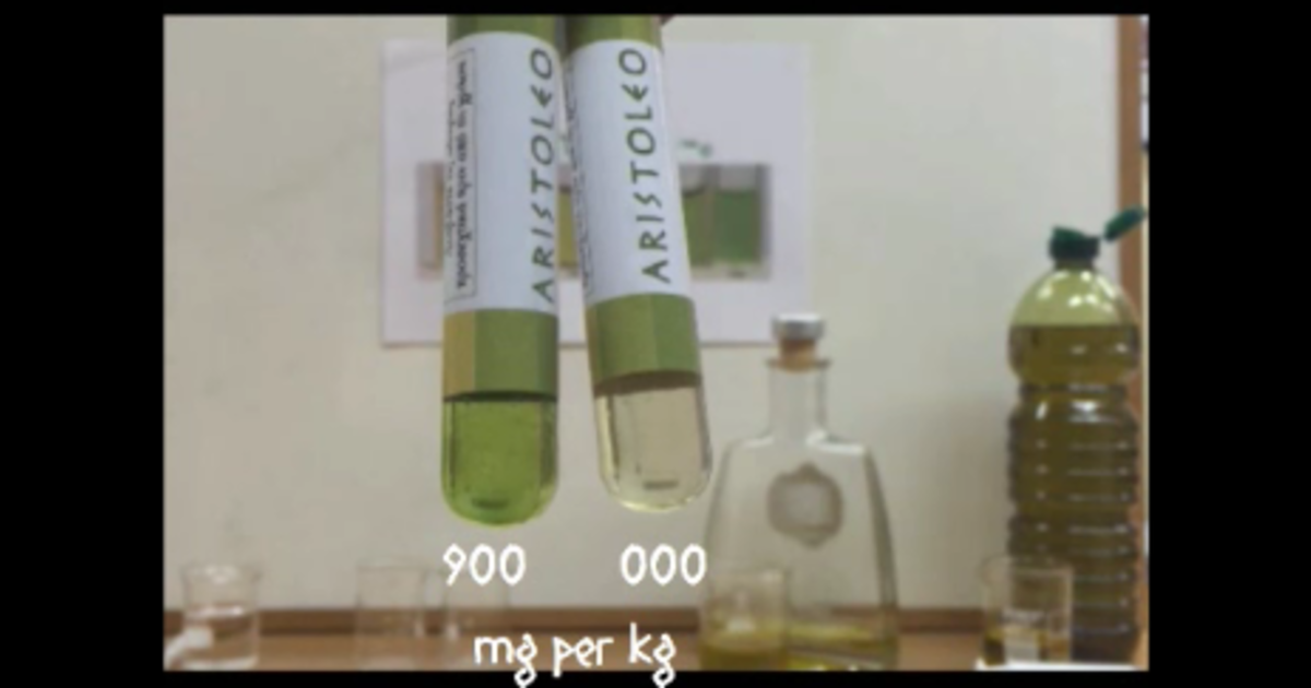Greek Invention - Olive Oil Test A “Game Changer” | Indiegogo