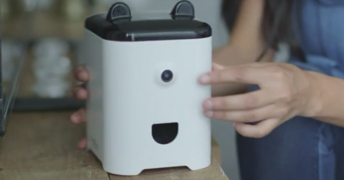 PetBot: Smart Pet Monitor That Keeps You Connected | Indiegogo