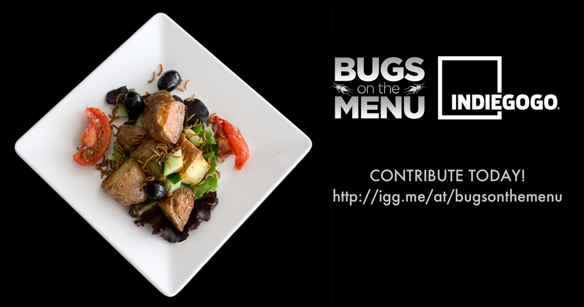 Bugs on the Menu - Theatrical Feature Documentary | Indiegogo